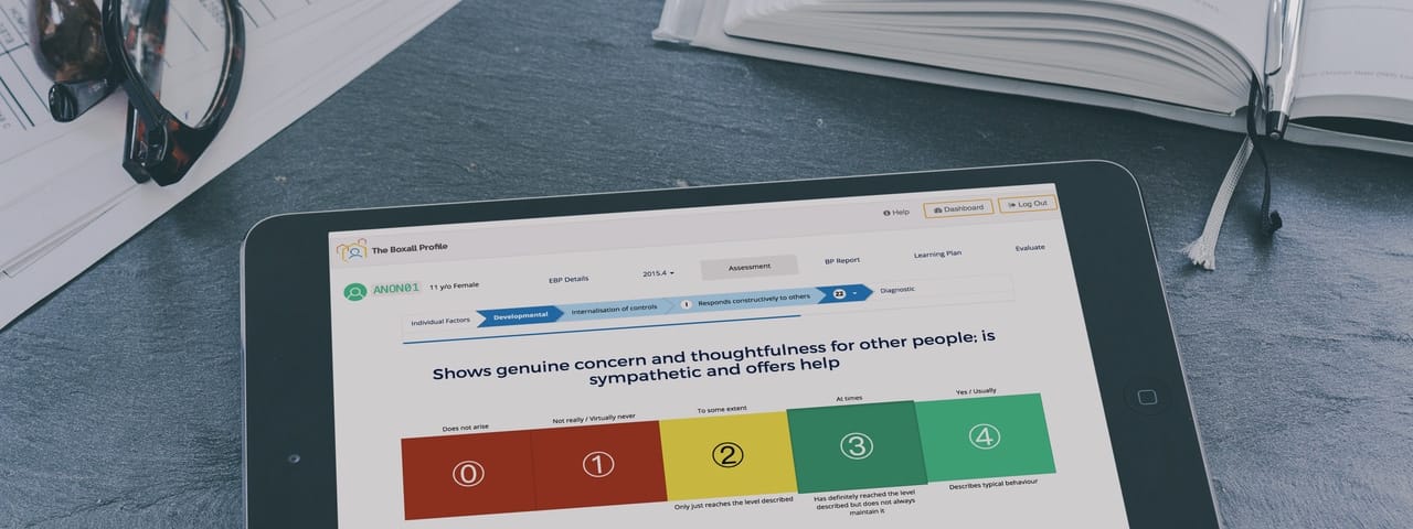 Theory and practice of the boxall profile online